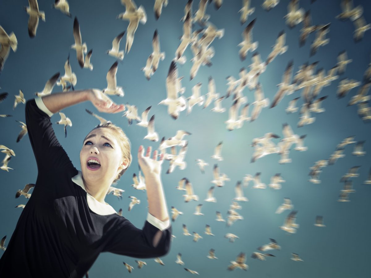 Che cos'è l'ornitofobia?