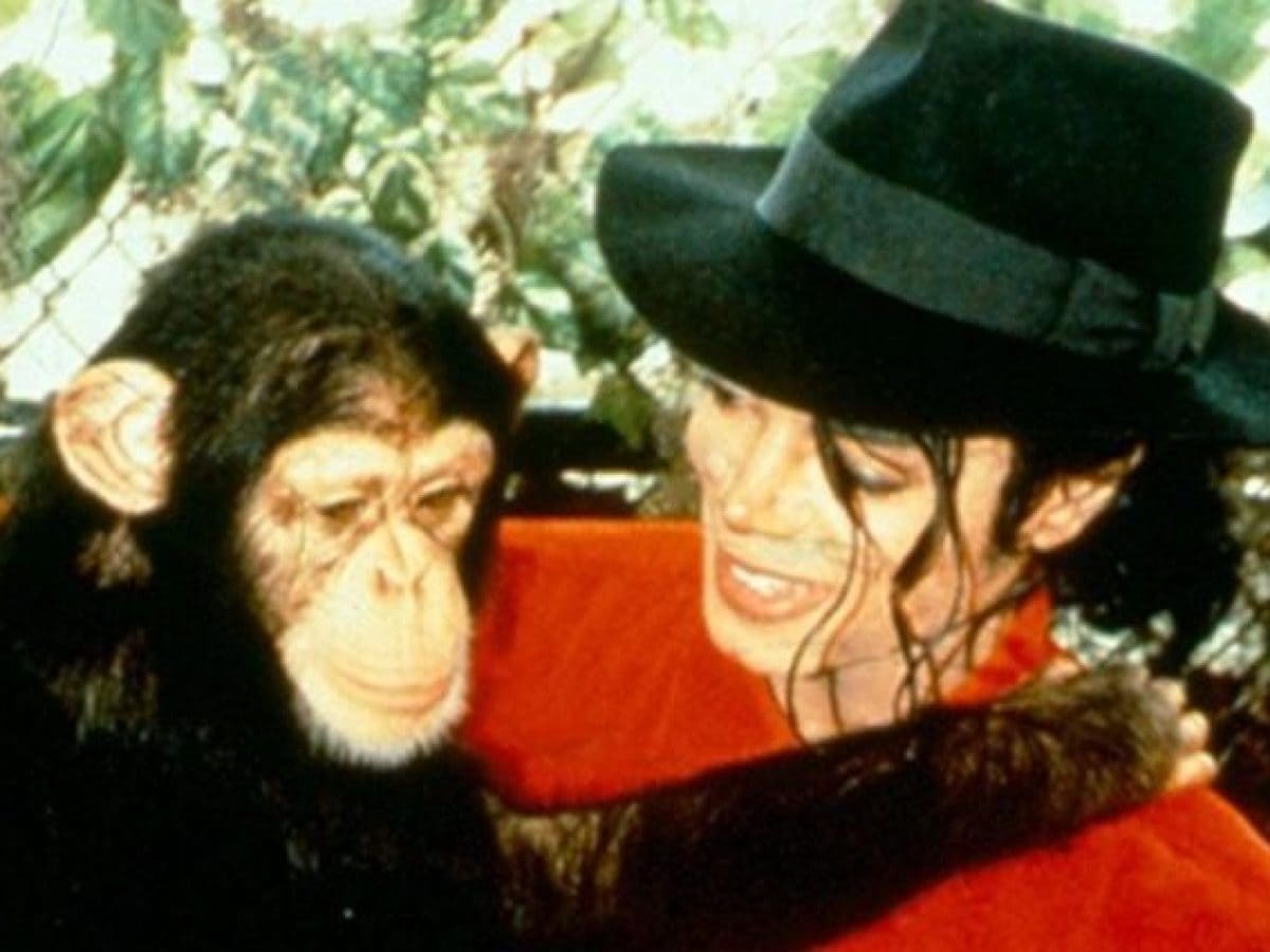 Che fine hanno fatto gli animali del Neverland Ranch di Michael Jackson