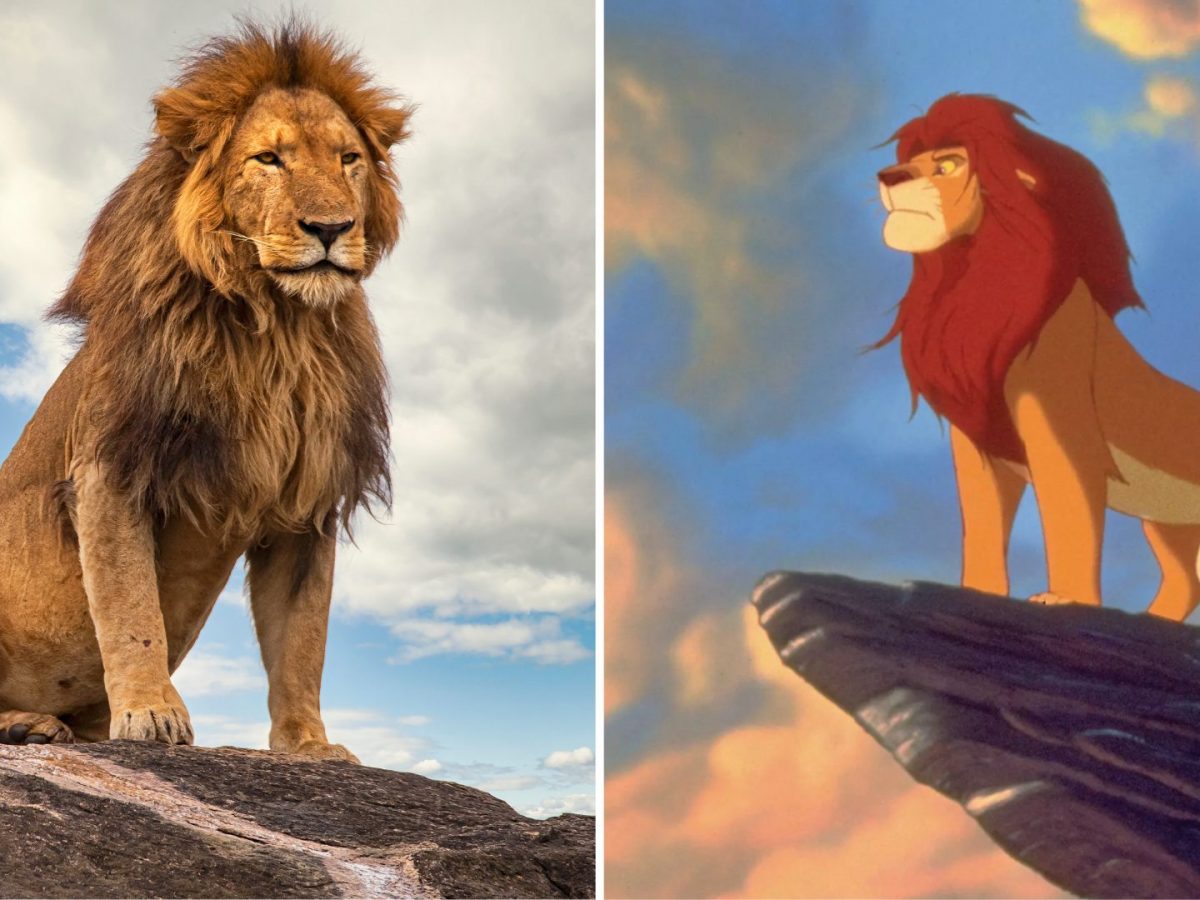 Il remake di Il re leone Disney va in onda su Rai 1, ma bisogna andare ...