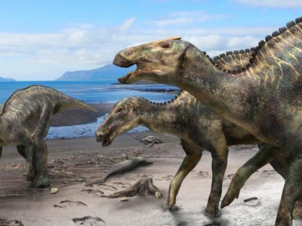 I dinosauri erano a sangue caldo o a sangue freddo?