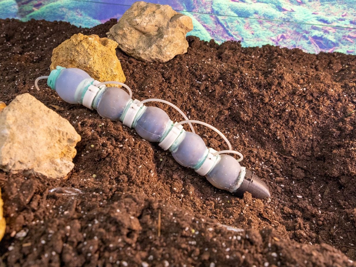 Un robot lombrico ci permetterà di esplorare il sottosuolo e altri pianeti