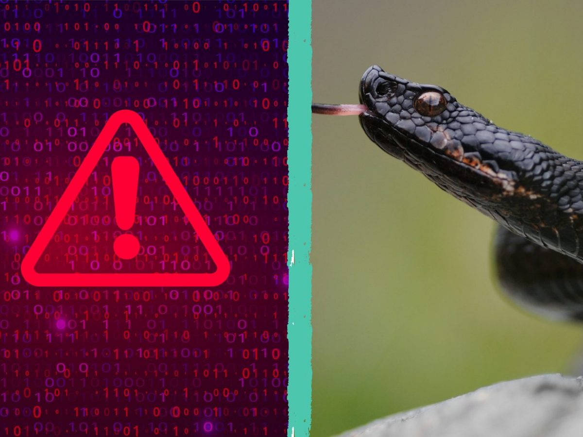 Perché Snake e altri virus informatici si chiamano come gli animali